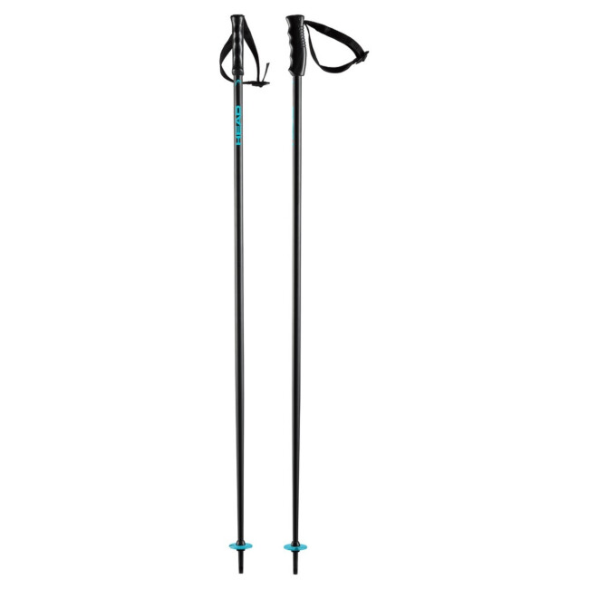 HEAD MULTI PERFORMANCE SKI POLES | Ski Poles | Sportland