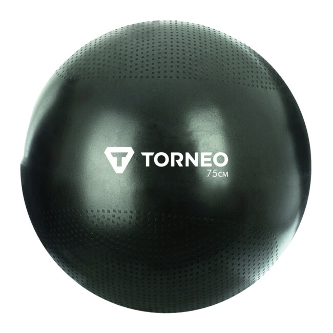 TORNEO GYM BALL WITH PUMP | Balls | Sportland